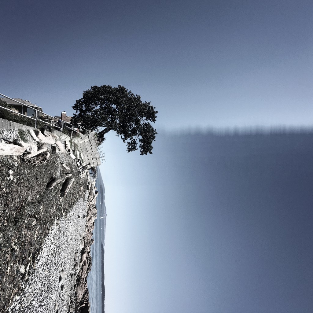 3 Poems by Capella Parrish – Back Patio Press