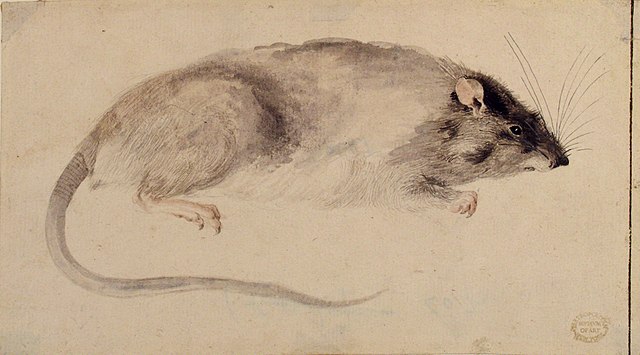 Back Patio Press – Indie Lit's Backyard BBQ Party